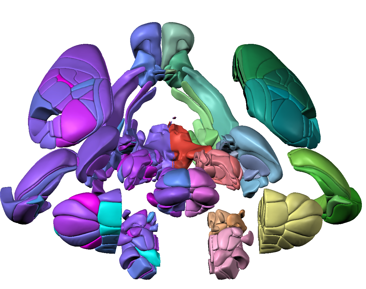 Installation and Use — Virtual Brain Lab 0.1.0 documentation